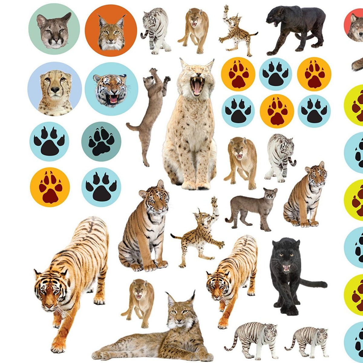 Eyelike Stickers: Wild Animals, Collection of 400 Realistic, Reusable ...